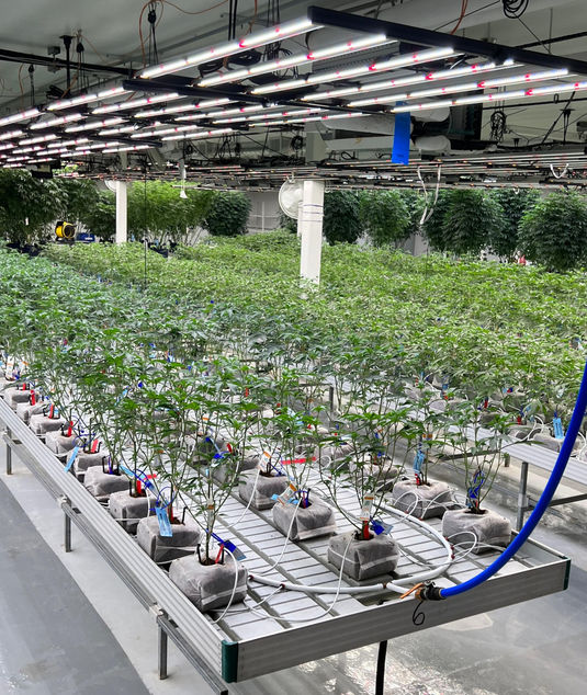 DOE Medical l Personalised Healthcare and Advanced Treatments – DOE-Medical